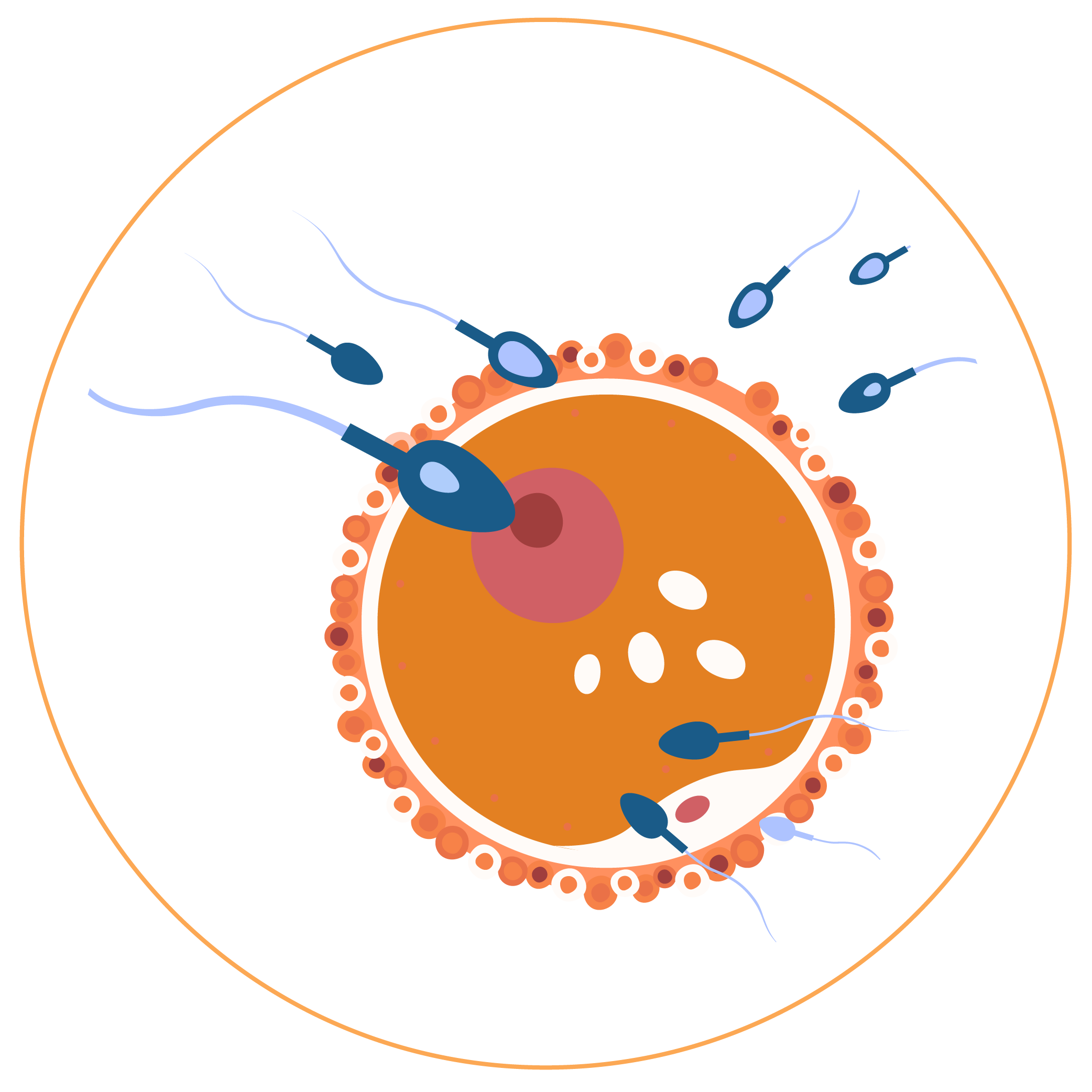 Fertility – Trioscience